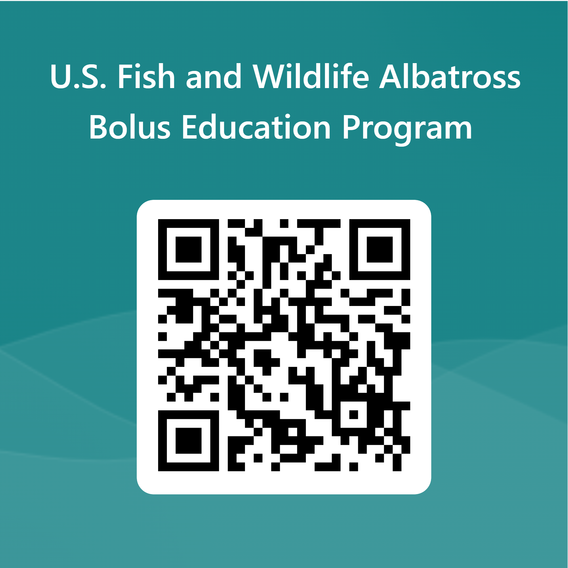 QRCode for U.S. Fish and Wildlife Albatross Bolus Education Program .png | FWS.gov